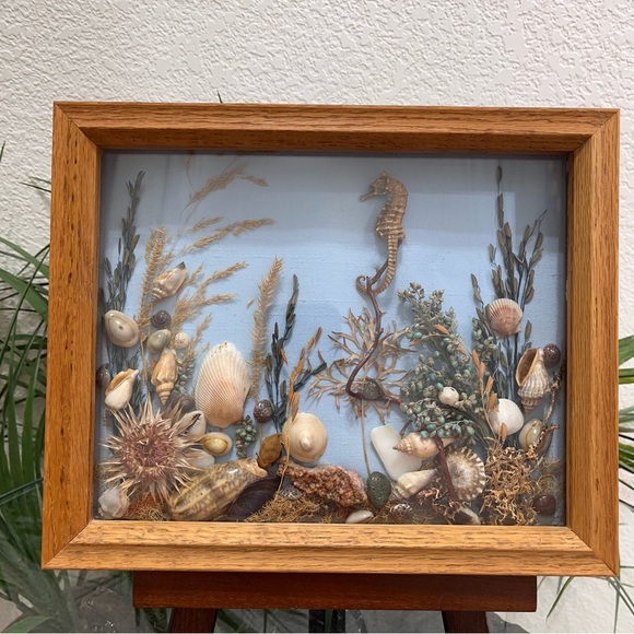 Art | Vintage Handcrafted Real Sea Life Shadow Box | Poshmark